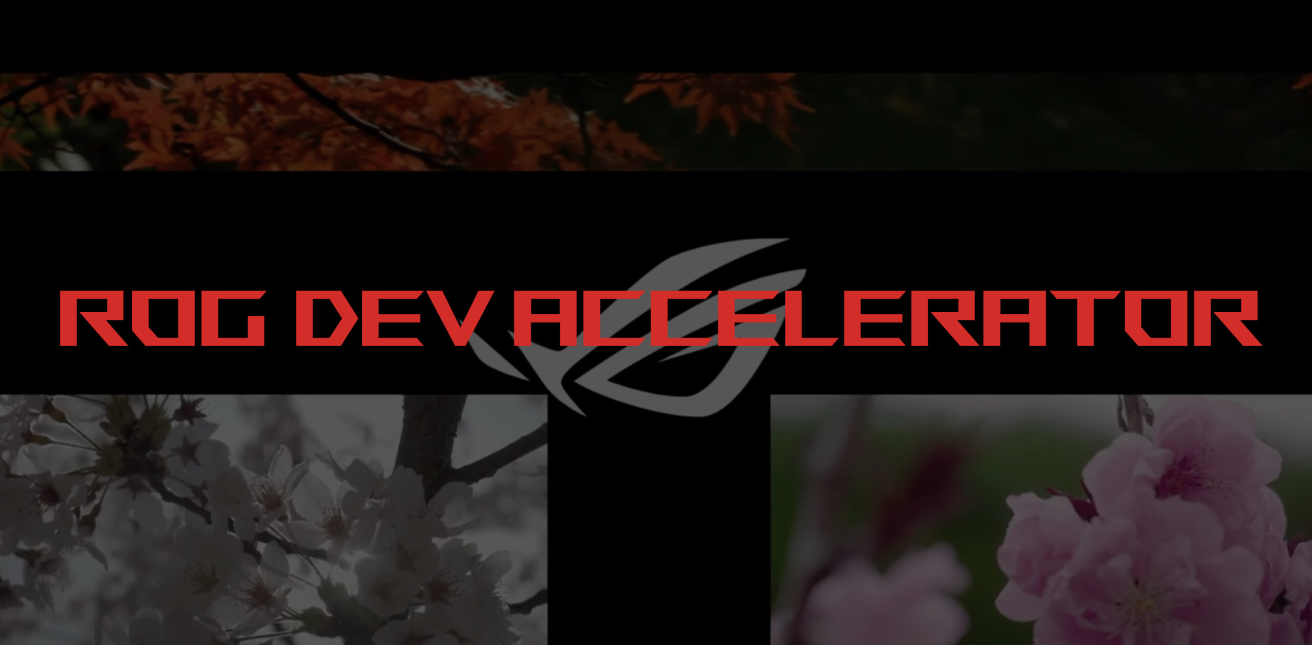 ASUSがインディーゲーム開発者向けハードウェアサポートプログラム「ROG Dev Accelerator」を発表、参加希望の開発者を募集中 ...